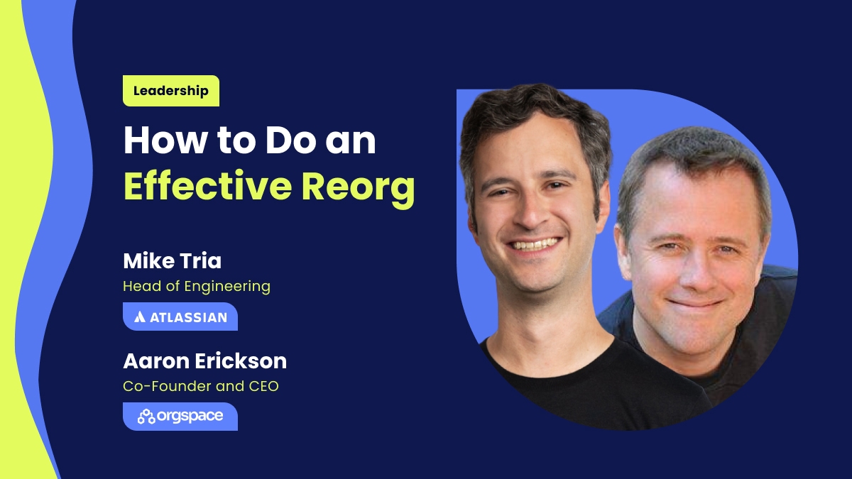 How to Do an Effective Reorg by Mike Tria,Aaron Erickson